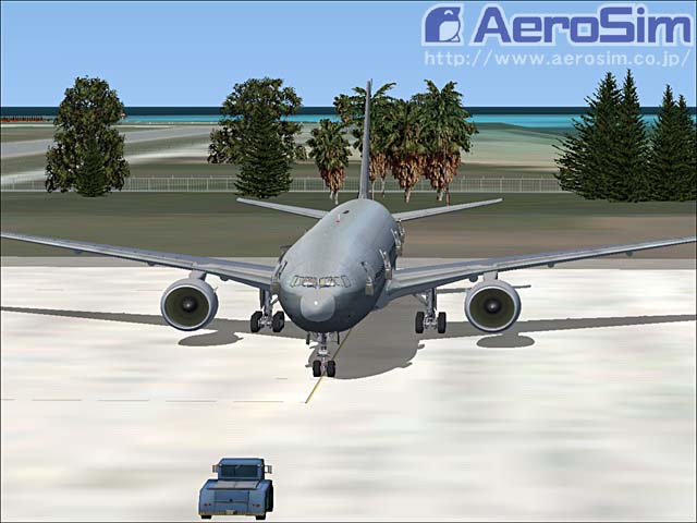 First Step for FSX